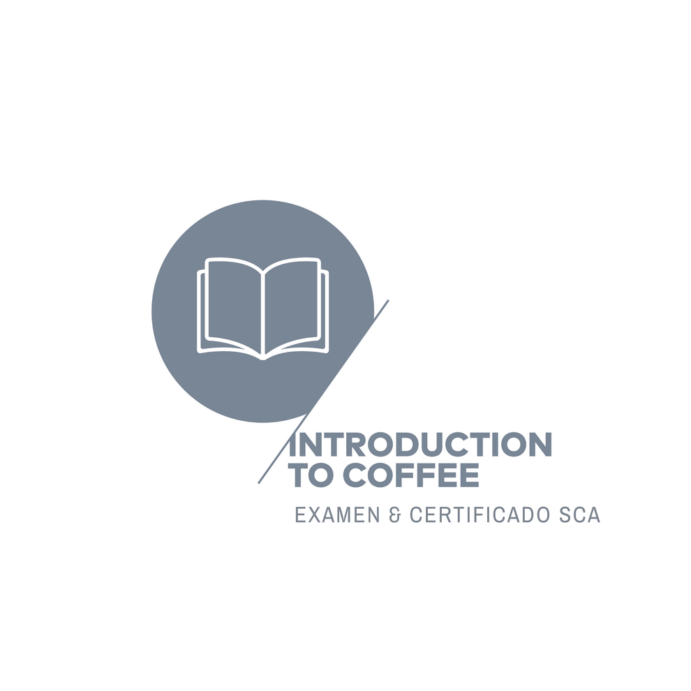 EXAMEN Y CERTIFICADO SCA INTRODUCCIÓN AL CAFÉ – Trike Koffee Roasters